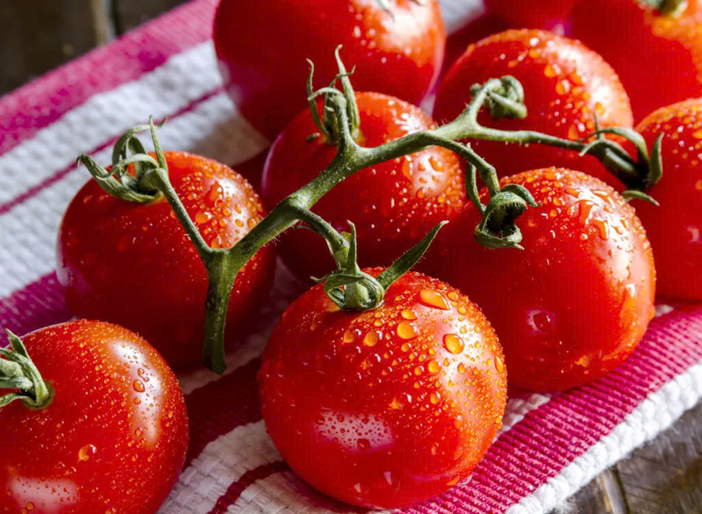 Vietnamese Tomatoes: From Origin to Table and Export Market